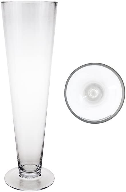 27" x 5" GLASS V SHAPE PILSNER VASE – SLS SupplyFlora